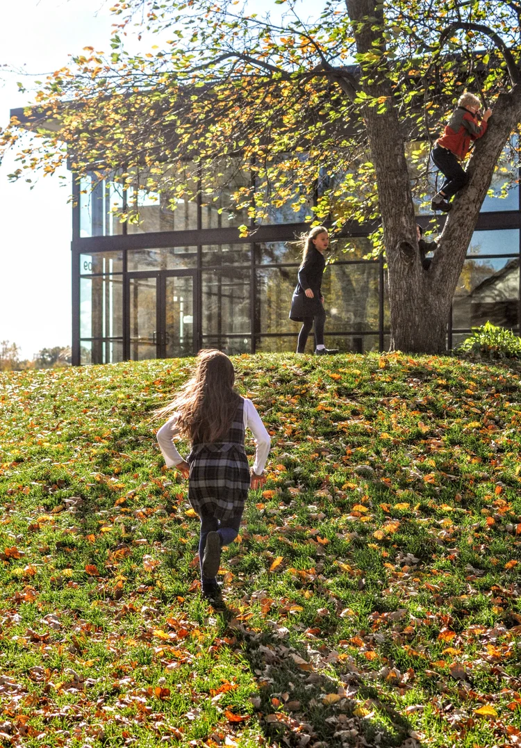 RiverTree School