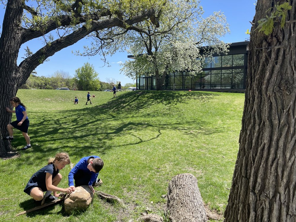 RiverTree School