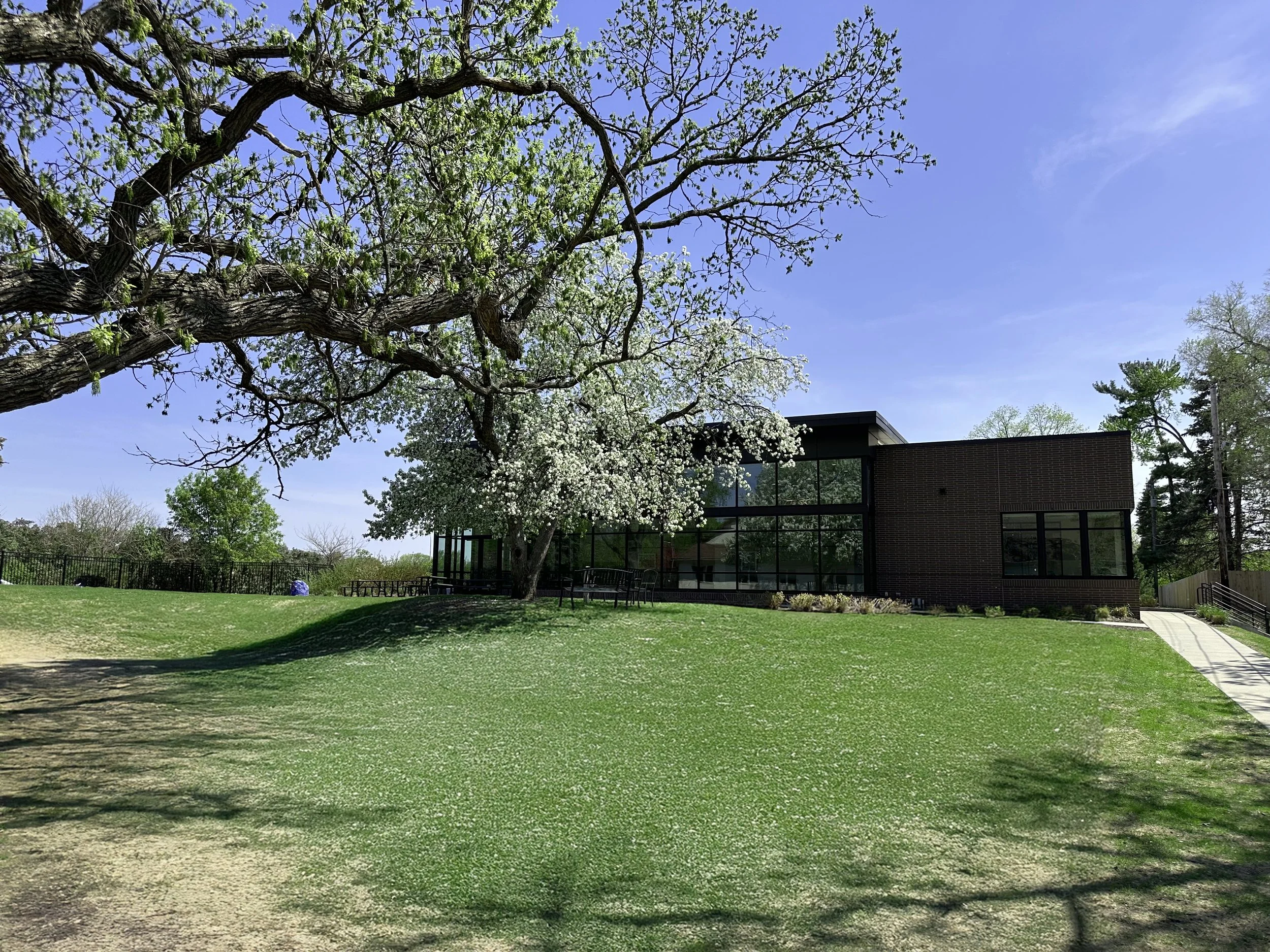 RiverTree School