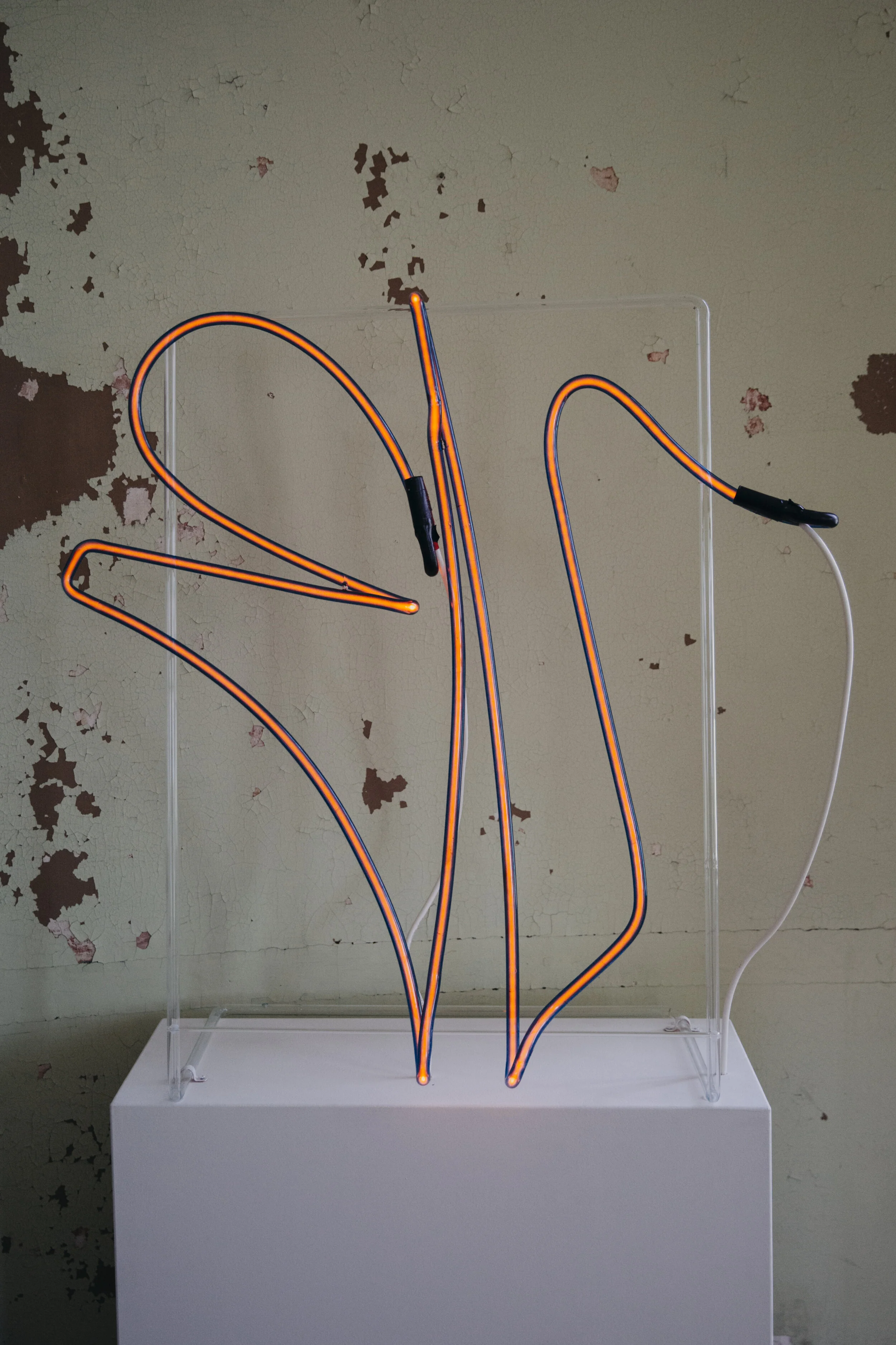Interview with Leo Tecosky — Past Present Projects