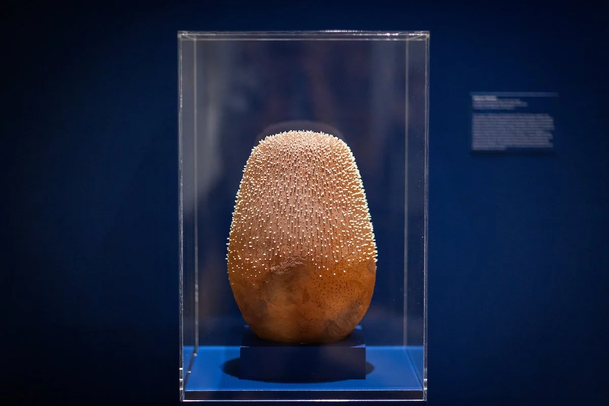 Songs for Ritual and Remembrance: A Reflective Experience — Past ...