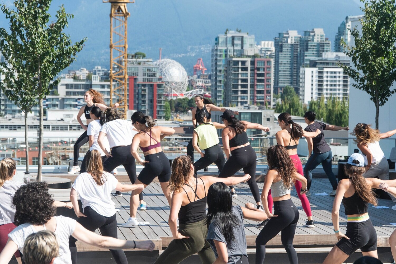 The Gallery by Pavilion