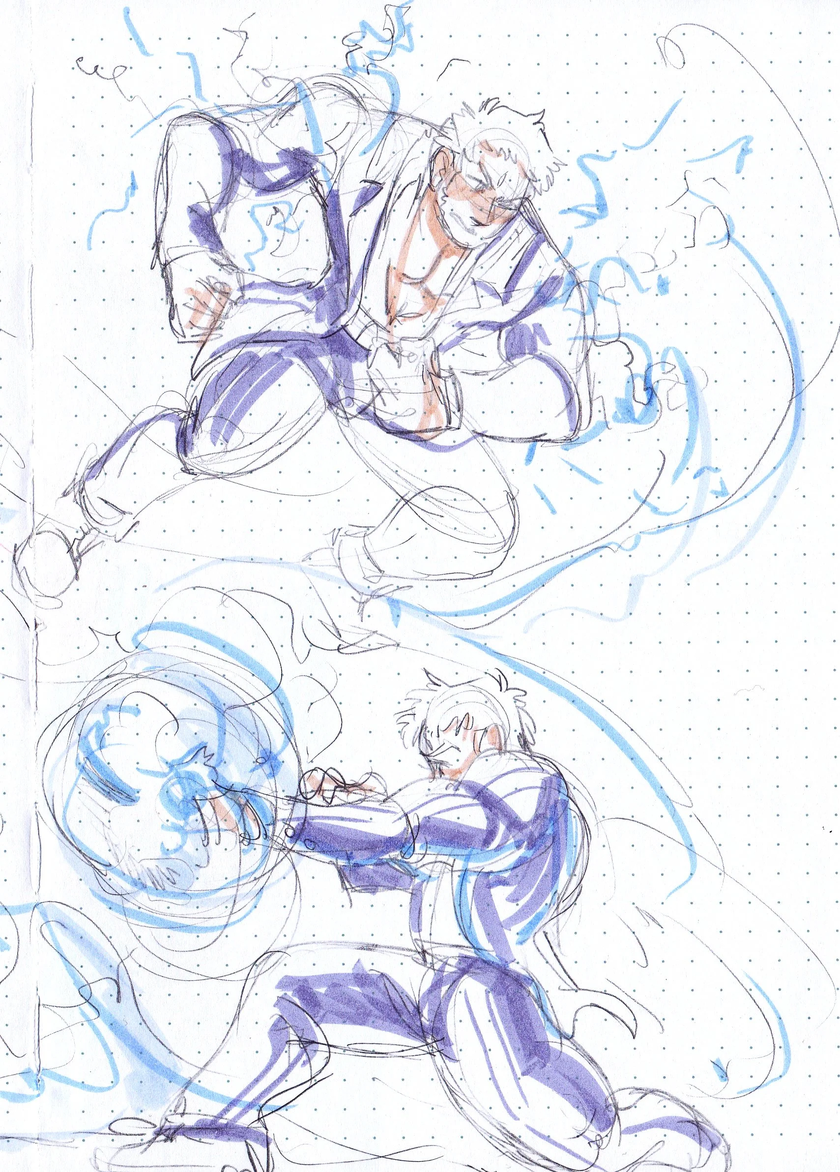 FGC Art — Darwin Rose Studio