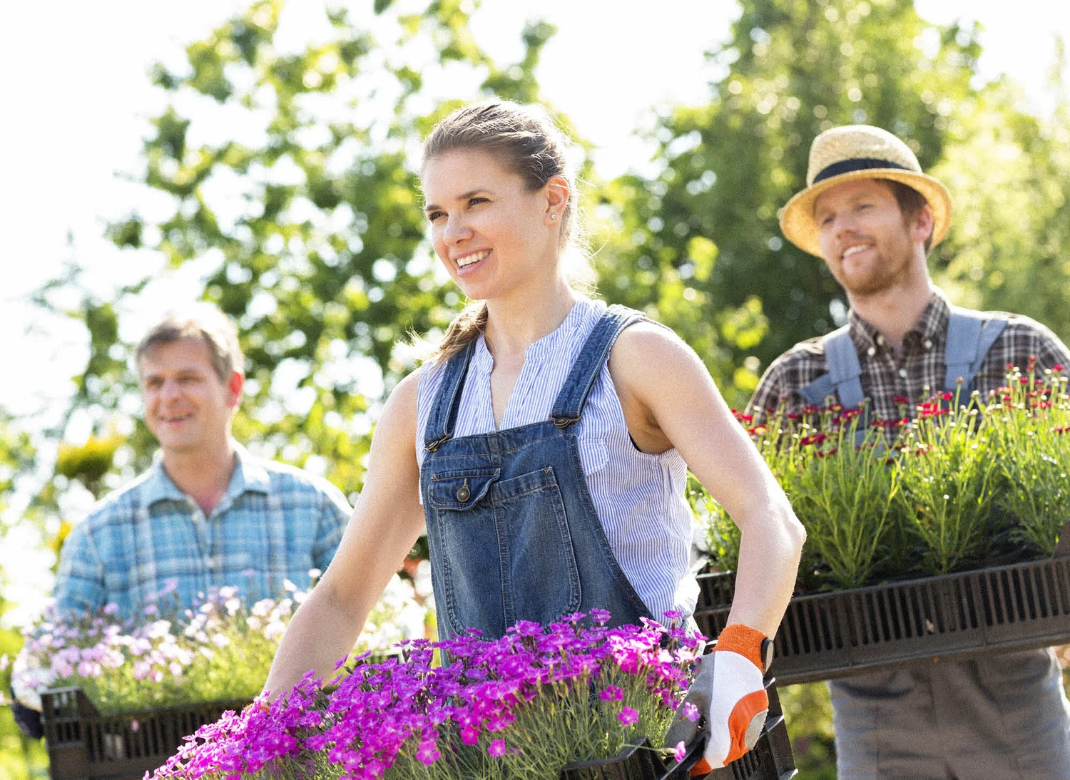 Meet Our Financial Advisors | The Kelly Group, Bel Air, MD — The Kelly ...