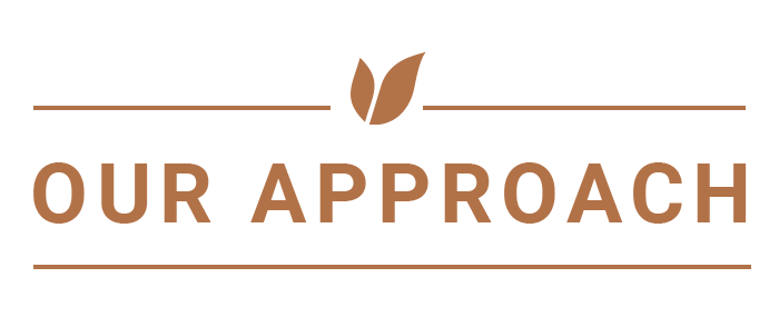 About & Approach — The Kelly Group