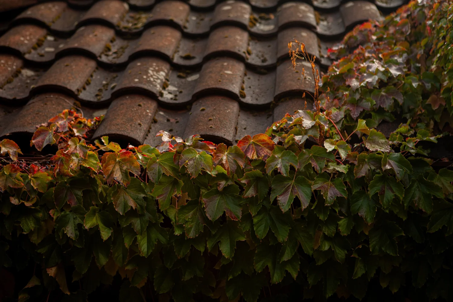 The Corson Building — Eric Fisher