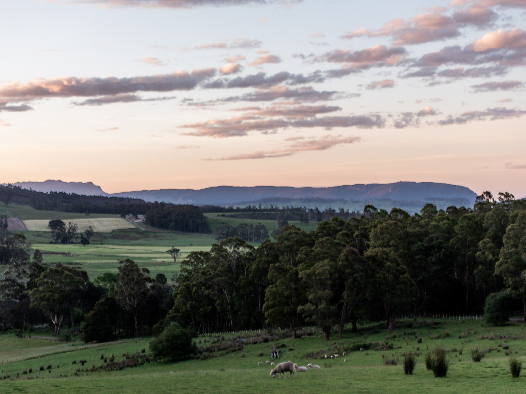 Cedar Cottage Meander | Outdoor Hot Tub | Tasmania