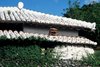 About Shochu — JSS Shochu