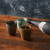 Shochu Guide: Japanese Craft Spirit