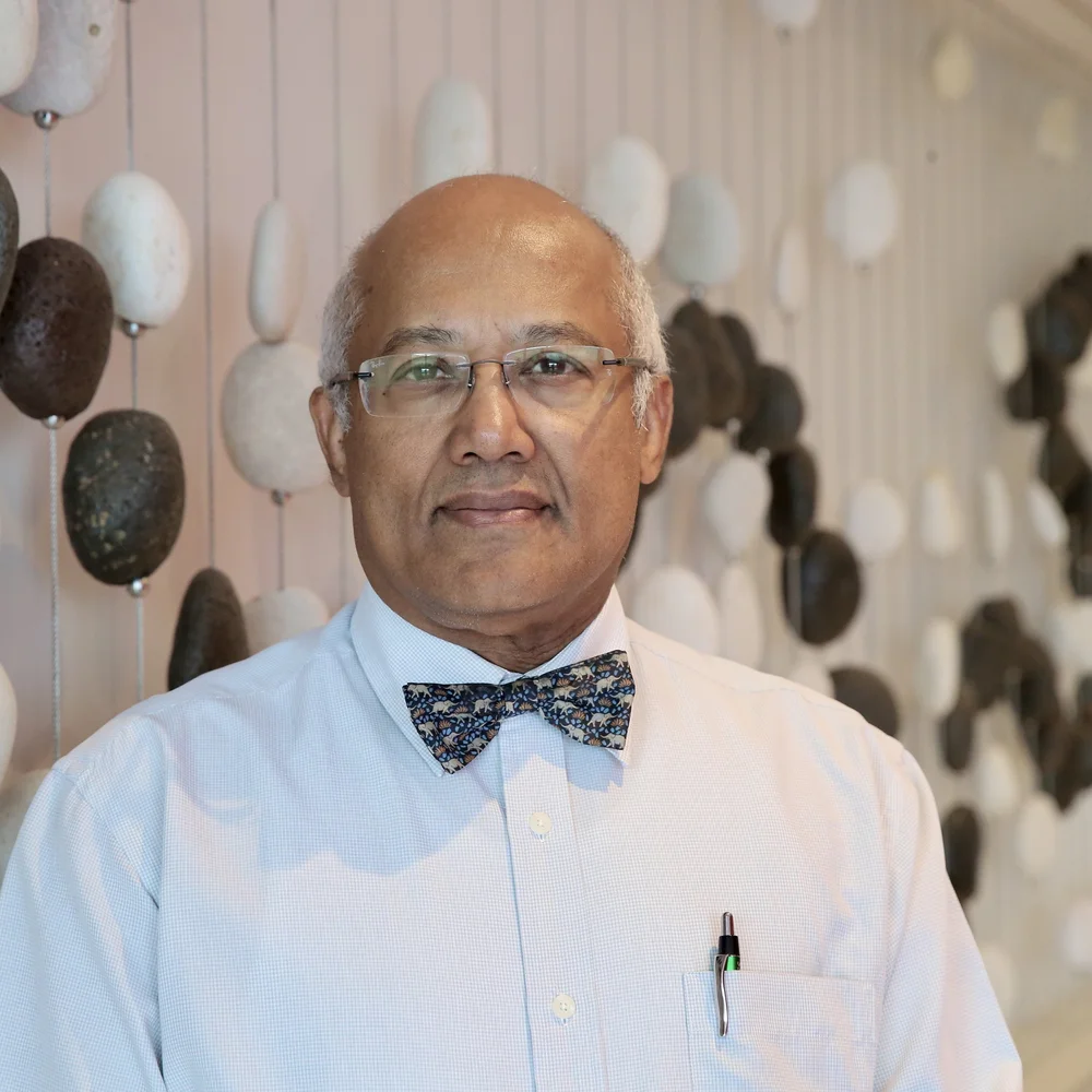 Our Team - Accelerating Ideas & Consensus — Mindhive