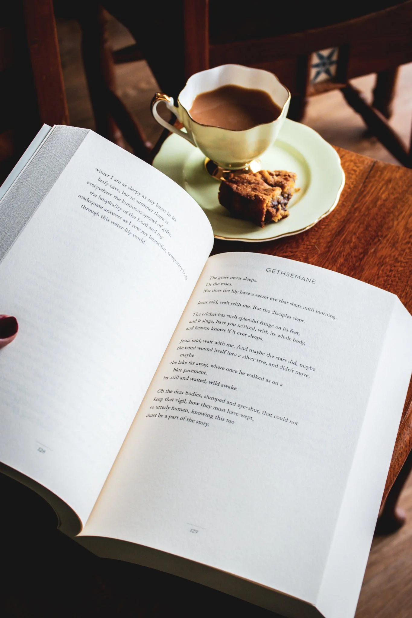 Poetry 101: A Beginner’s Guide to Reading (and Enjoying) Poetry — Mrs ...