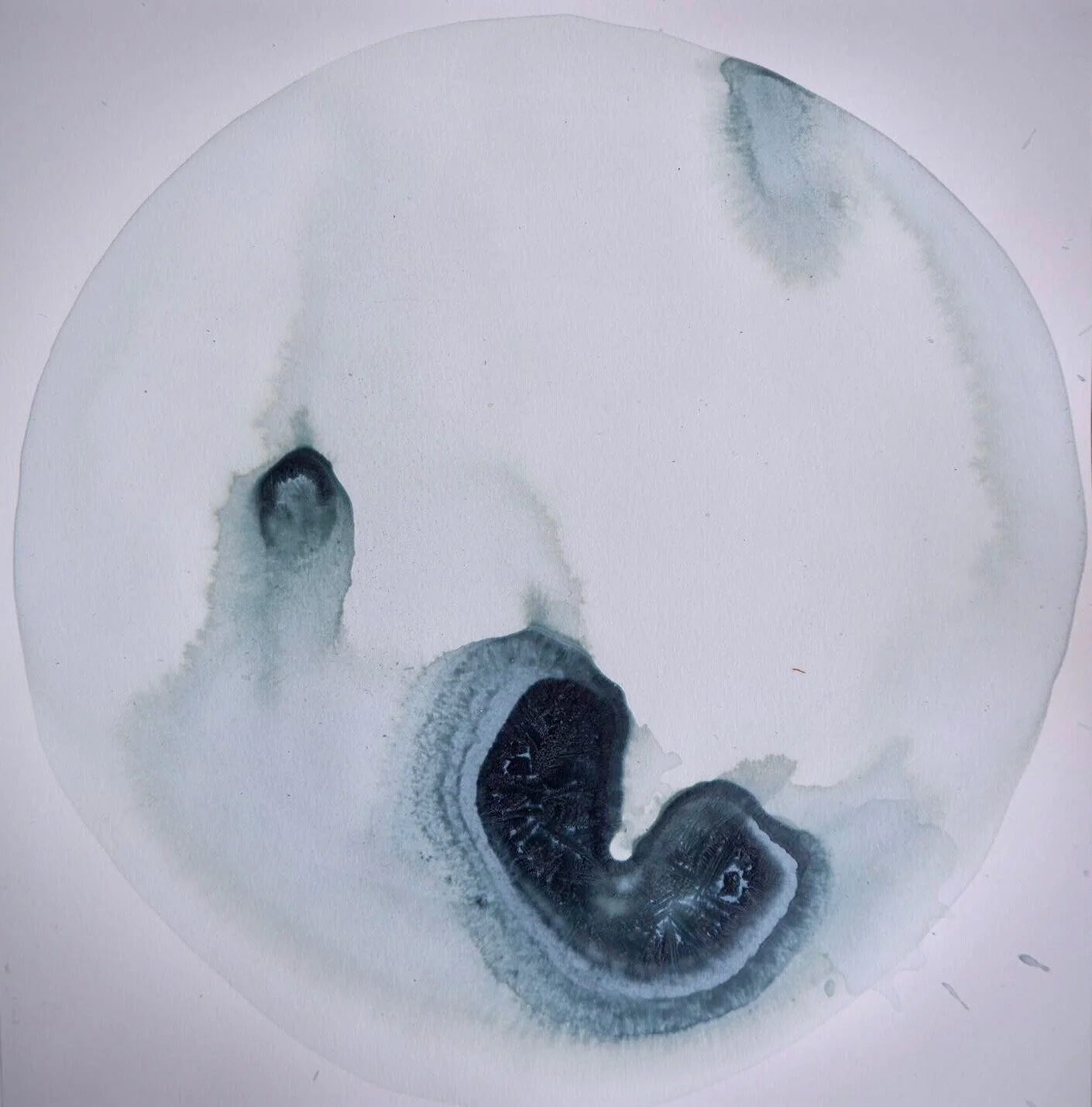 Gallery 1 — Flora Wallace