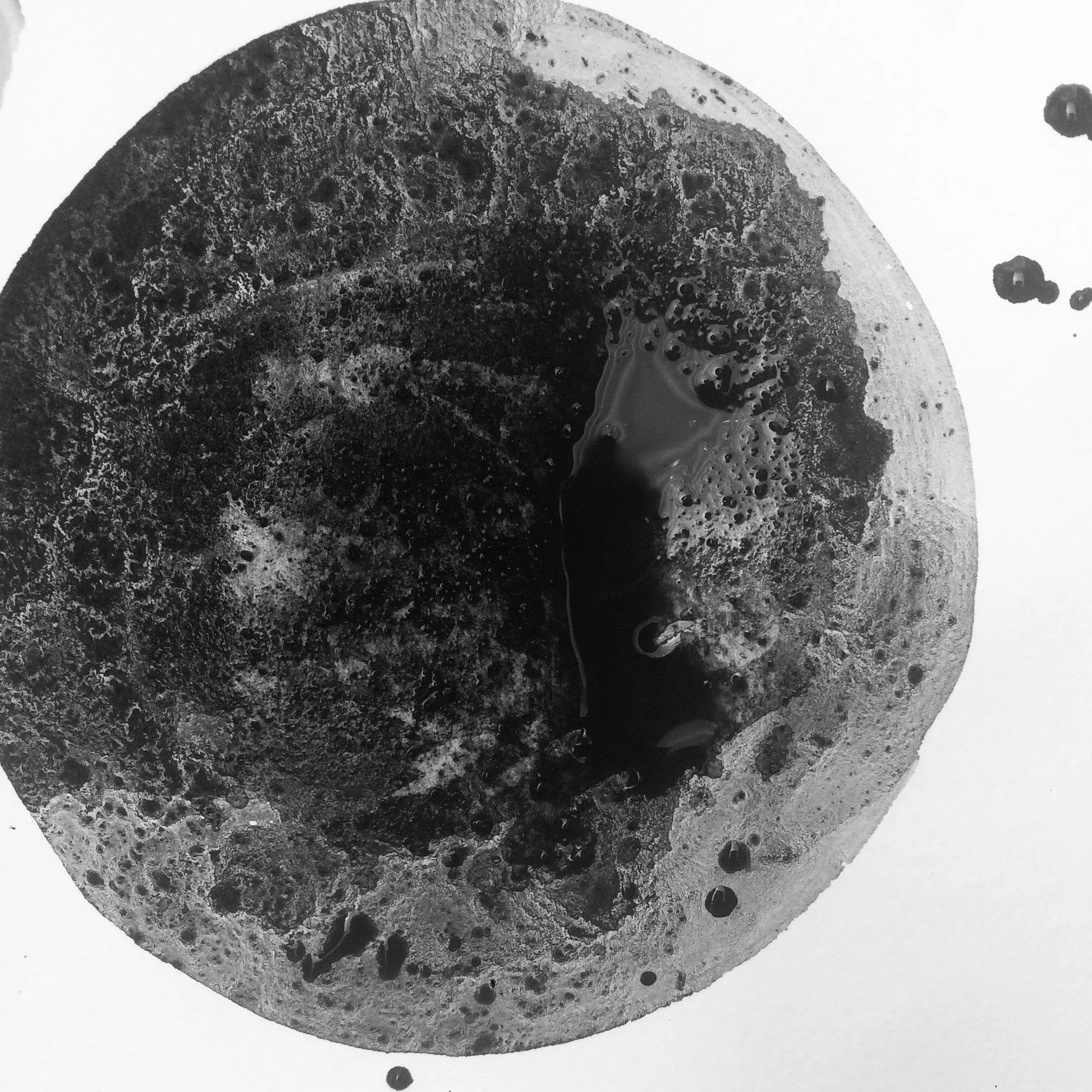 Gallery 1 — Flora Wallace