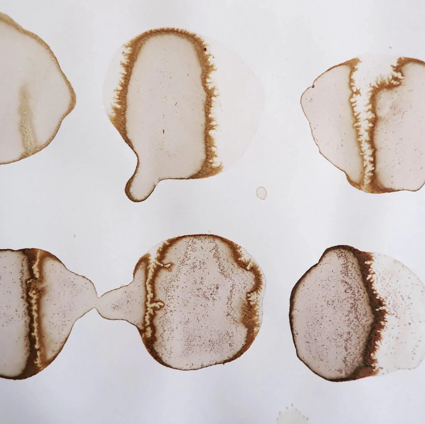 Gallery 1 — Flora Wallace