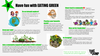 Eat Green — Take the Jump