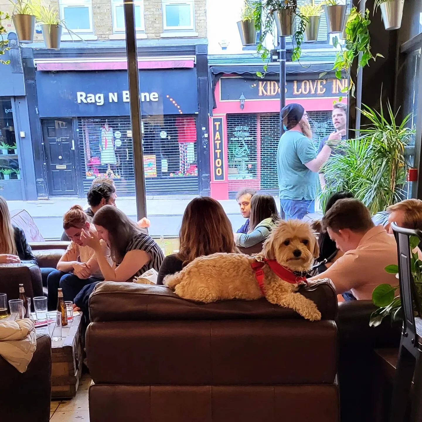 Badger Badger | Pub, Kitchen and Board Gaming