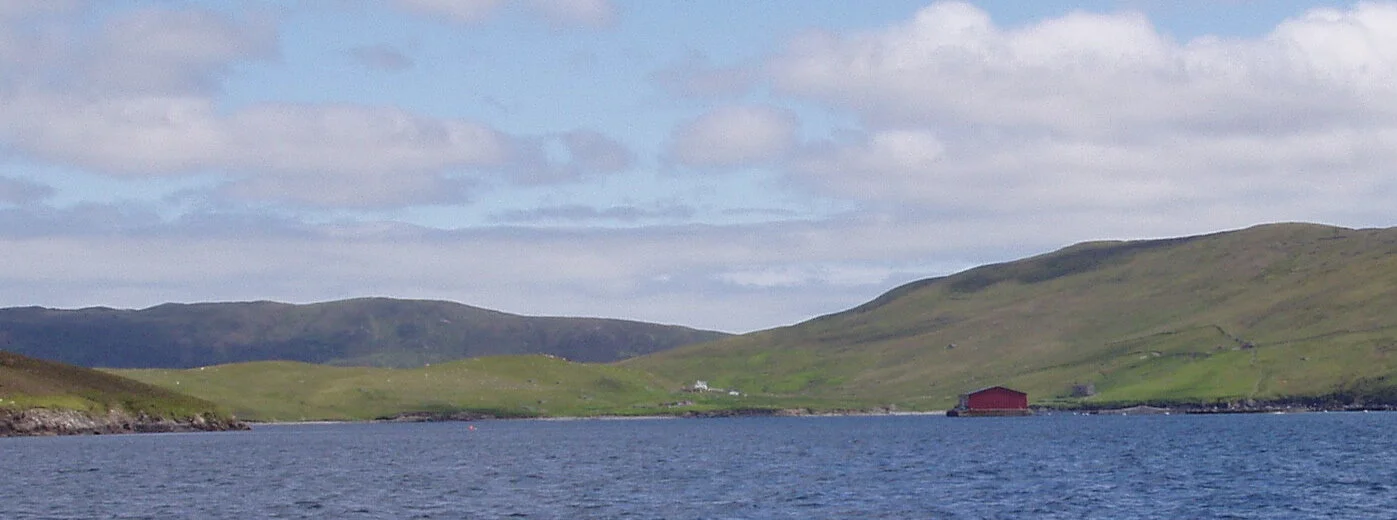 The Body in the Bracken — Marsali Taylor