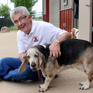 Guardian Angel Basset Rescue
