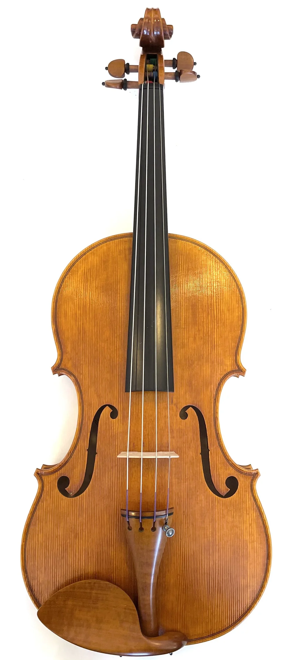 Terry Carlin Violins