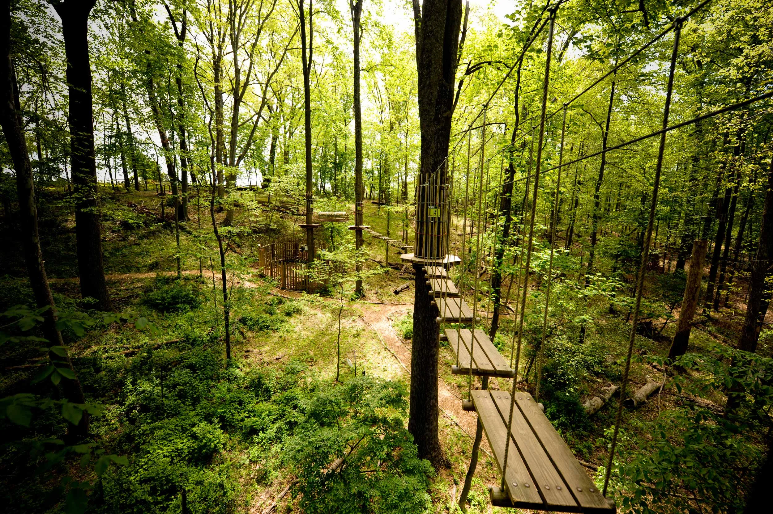 Rockville, MD — Go Ape Media