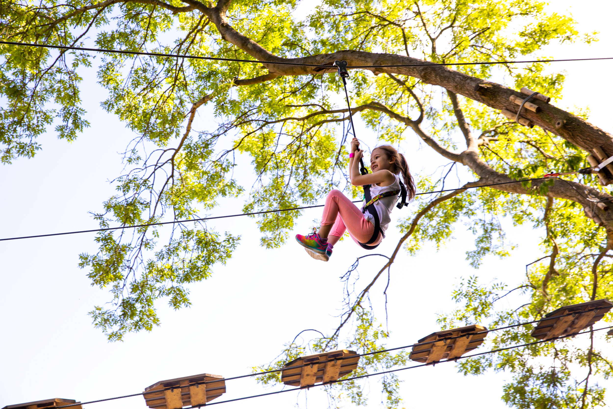 Go Ape Treetop Journey Images — Go Ape Media