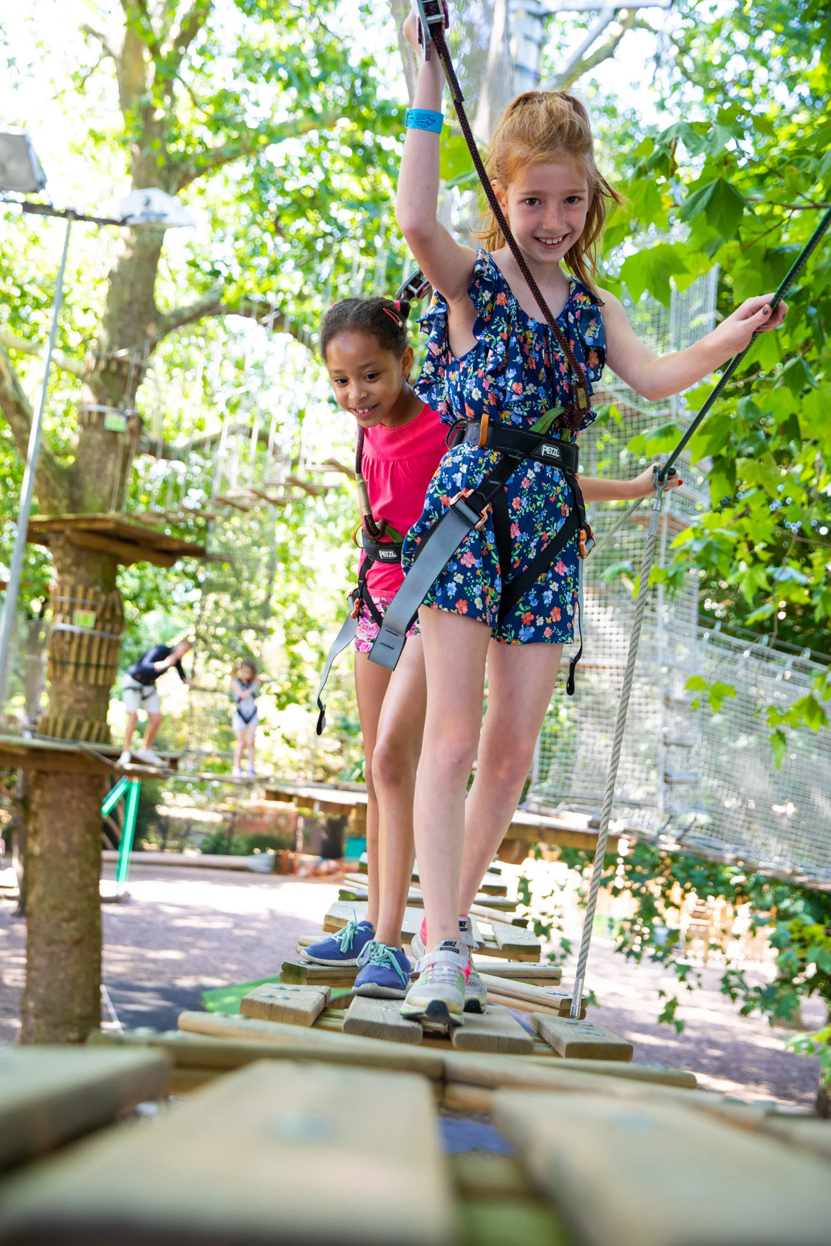 Go Ape Treetop Journey Images — Go Ape Media