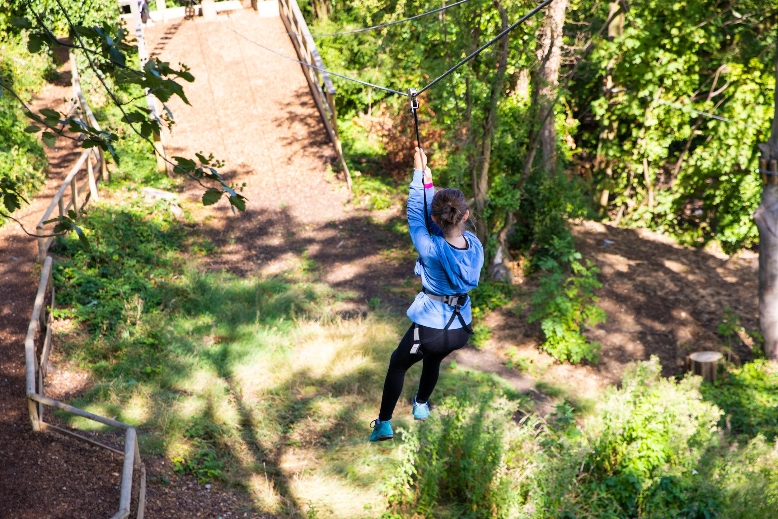 Go Ape Treetop Journey Images — Go Ape Media