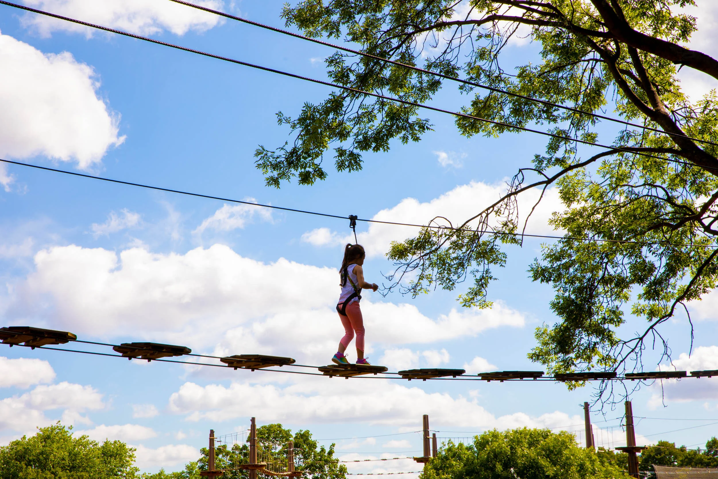 Go Ape Treetop Journey Images — Go Ape Media