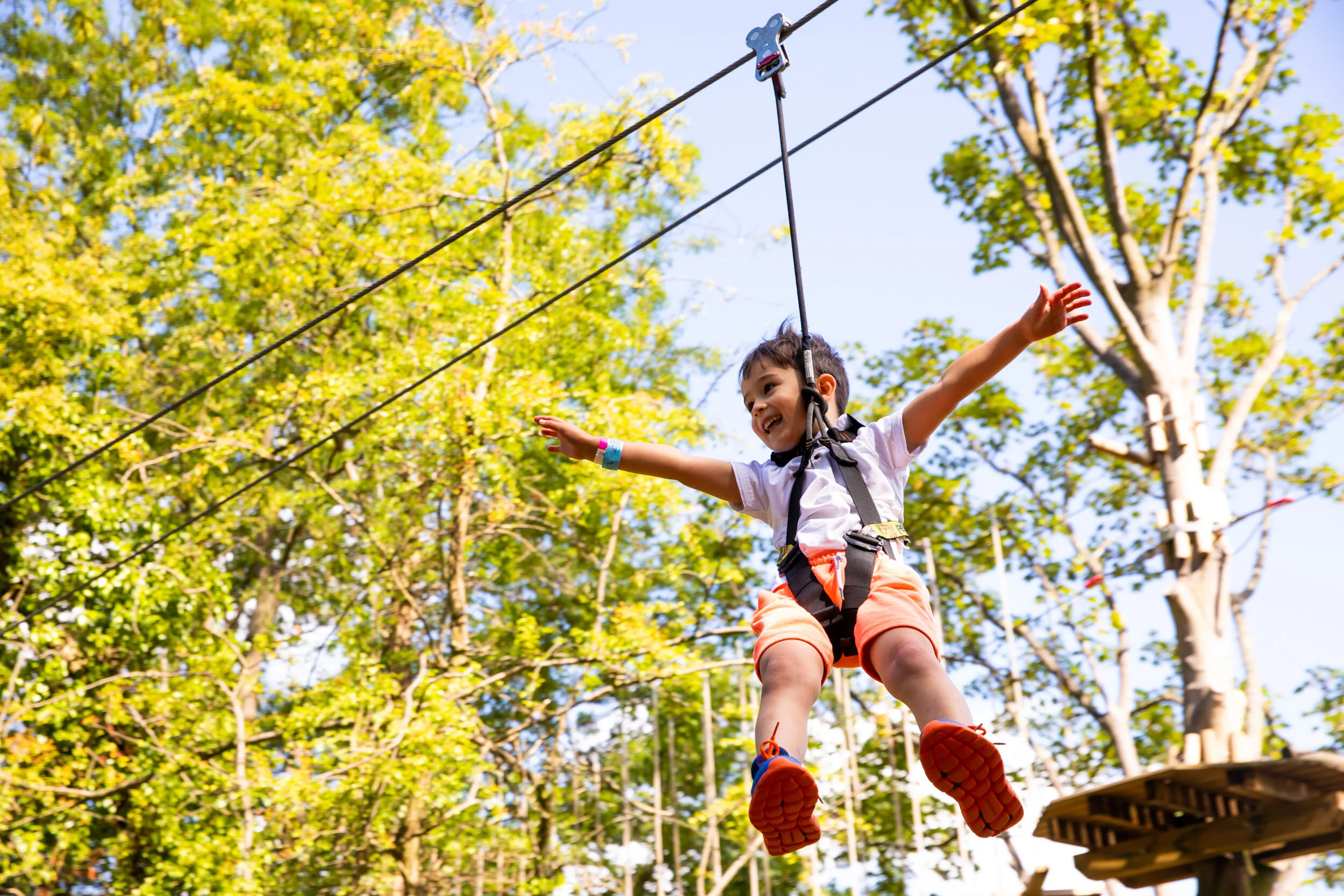 Go Ape Treetop Journey Images — Go Ape Media
