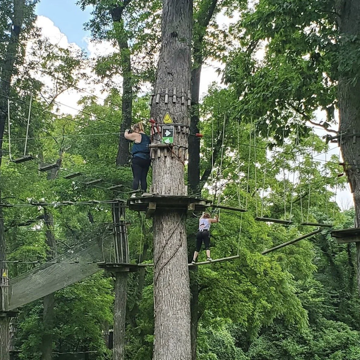 St. Louis, MO — Go Ape Media