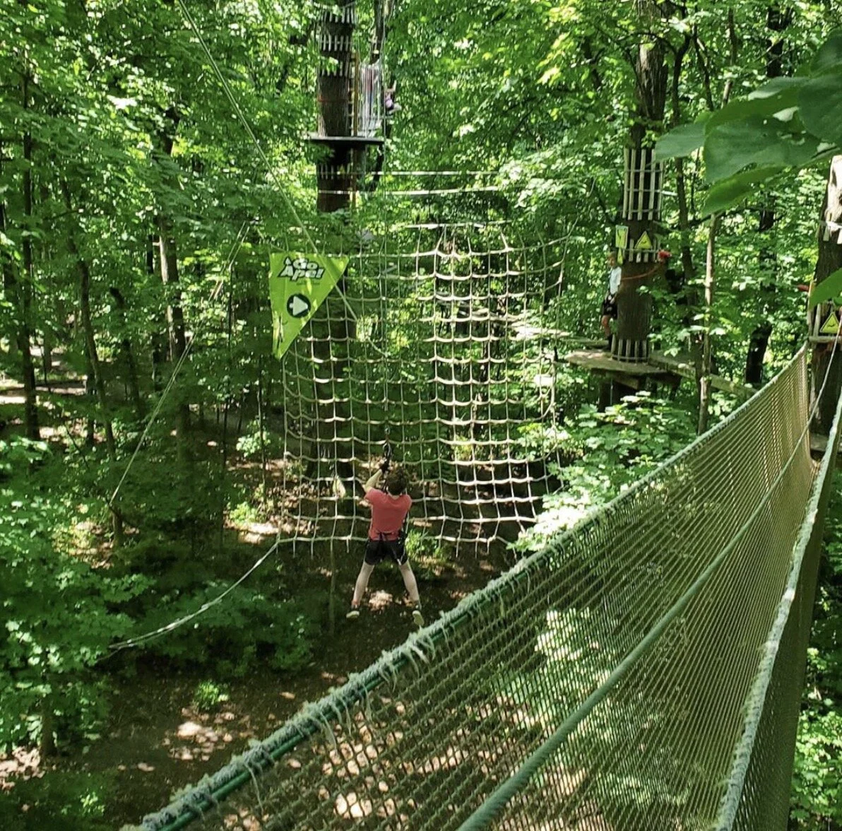 St. Louis, MO — Go Ape Media