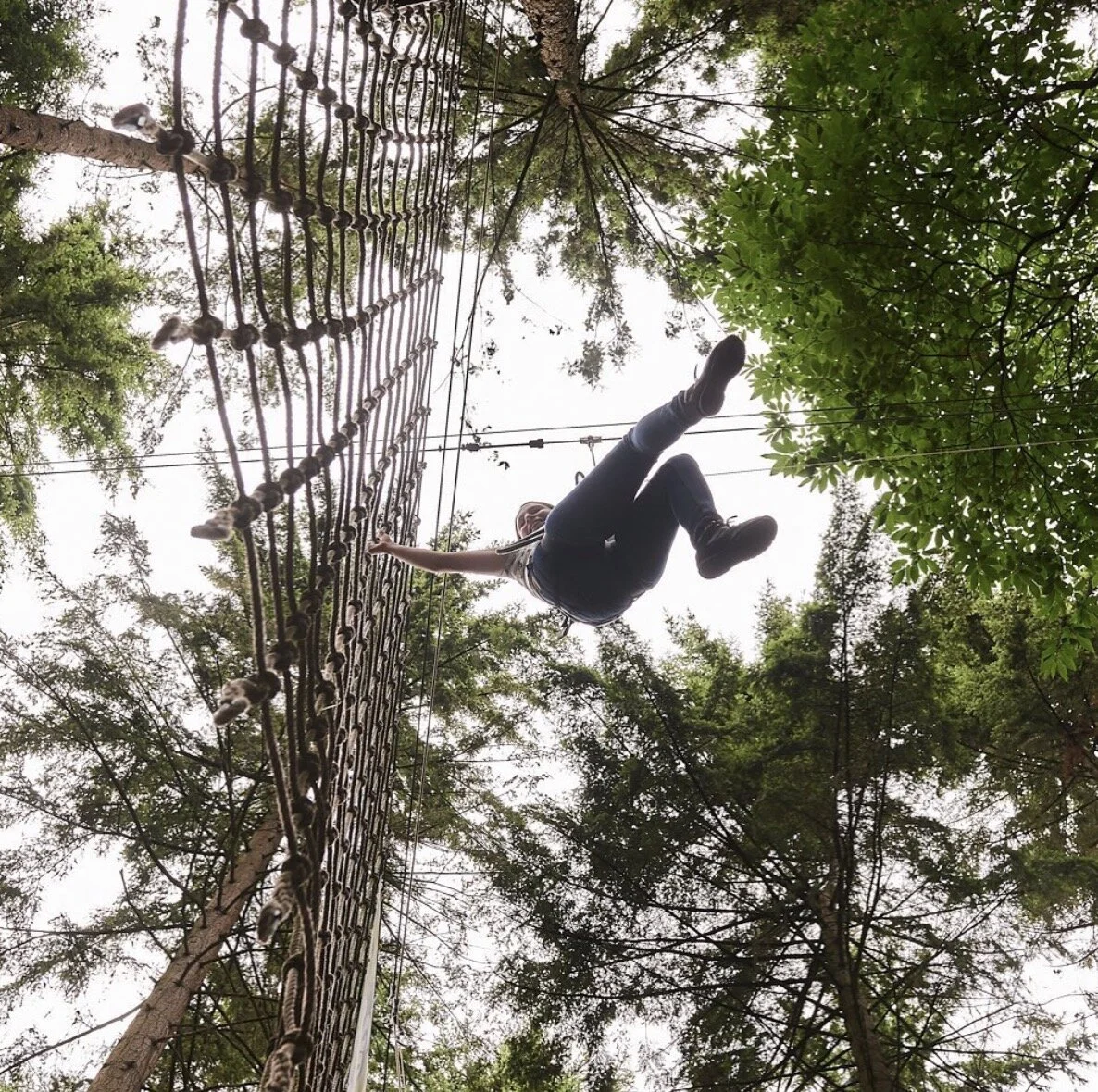 St. Louis, MO — Go Ape Media