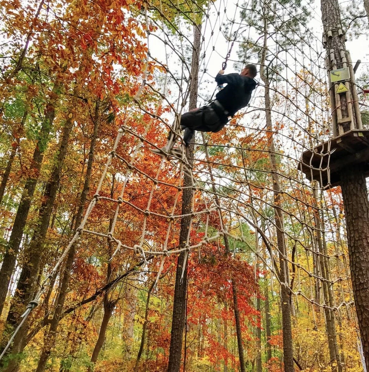 St. Louis, MO — Go Ape Media