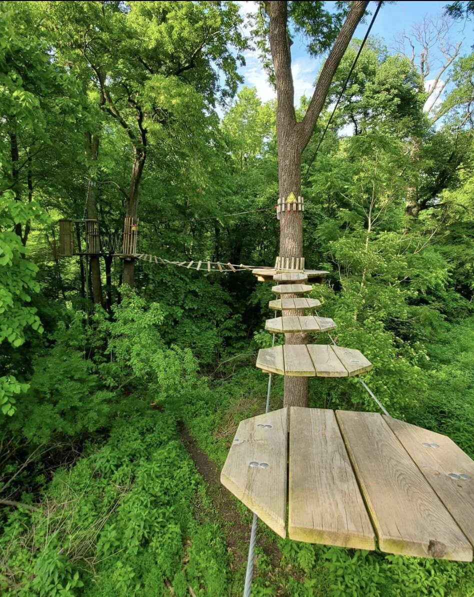 St. Louis, MO — Go Ape Media