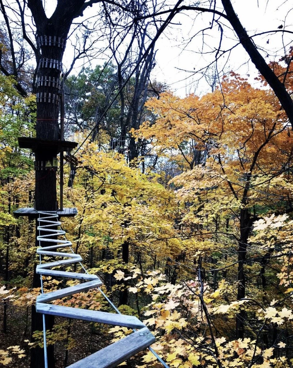 St. Louis, MO — Go Ape Media