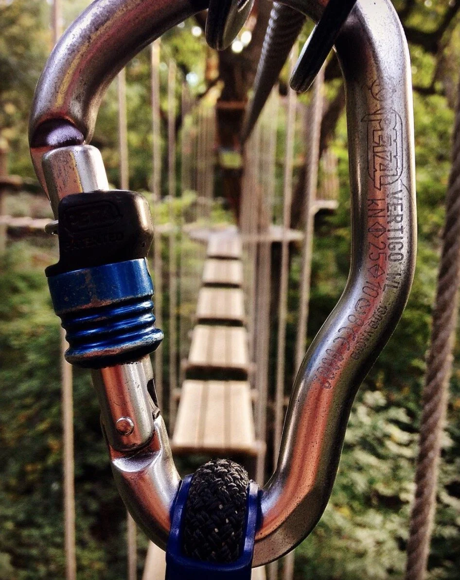 St. Louis, MO — Go Ape Media