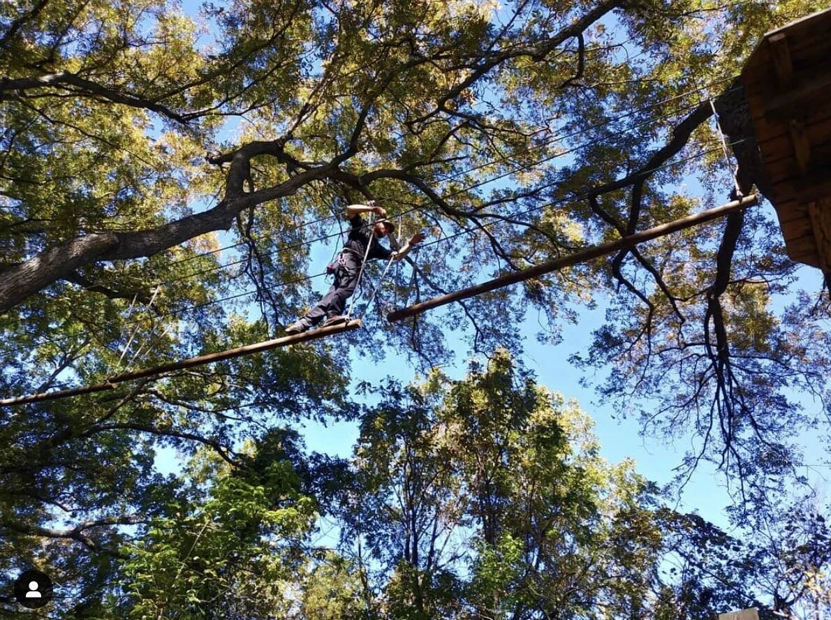 Plano, TX — Go Ape Media