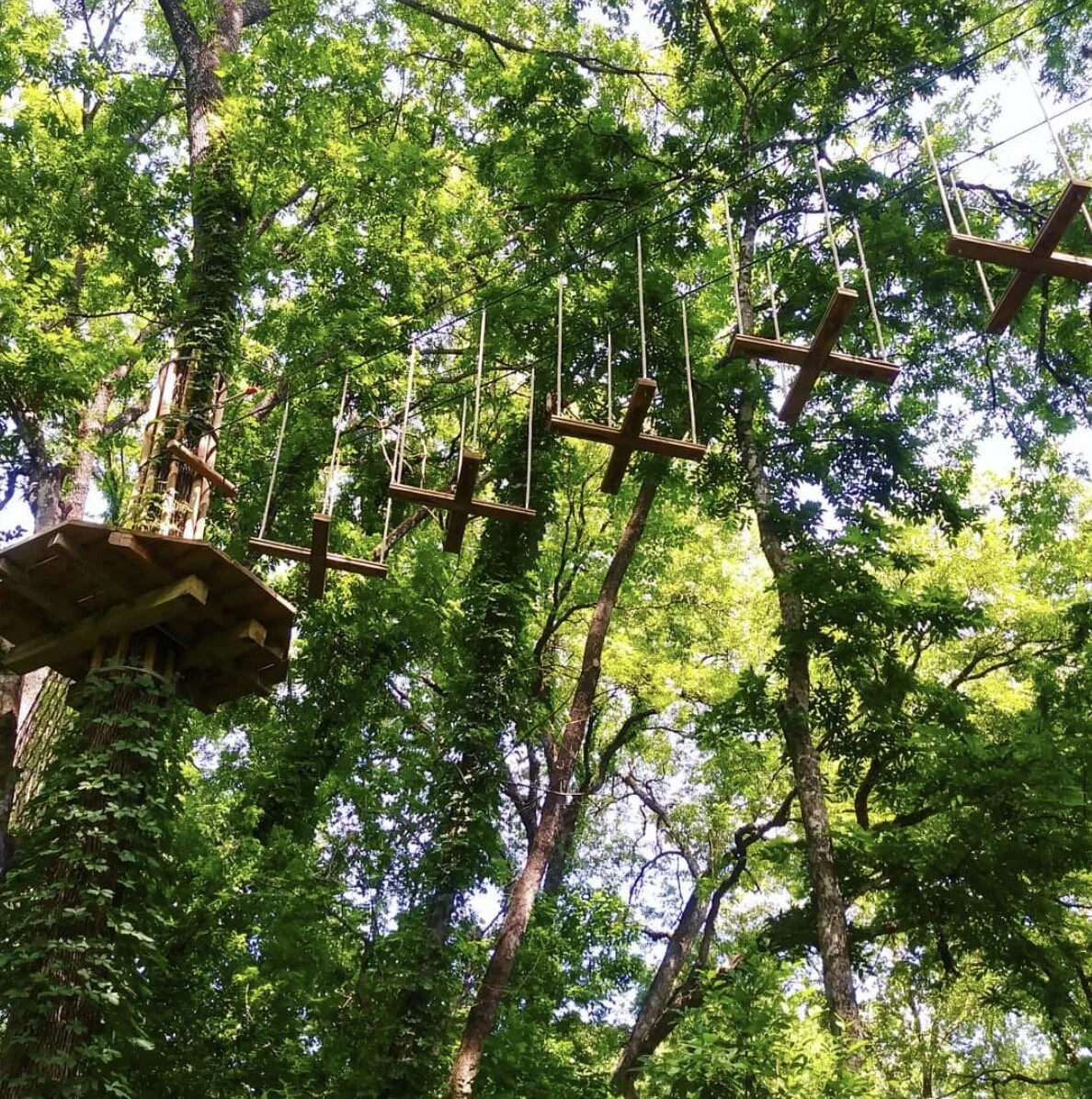 Plano, TX — Go Ape Media