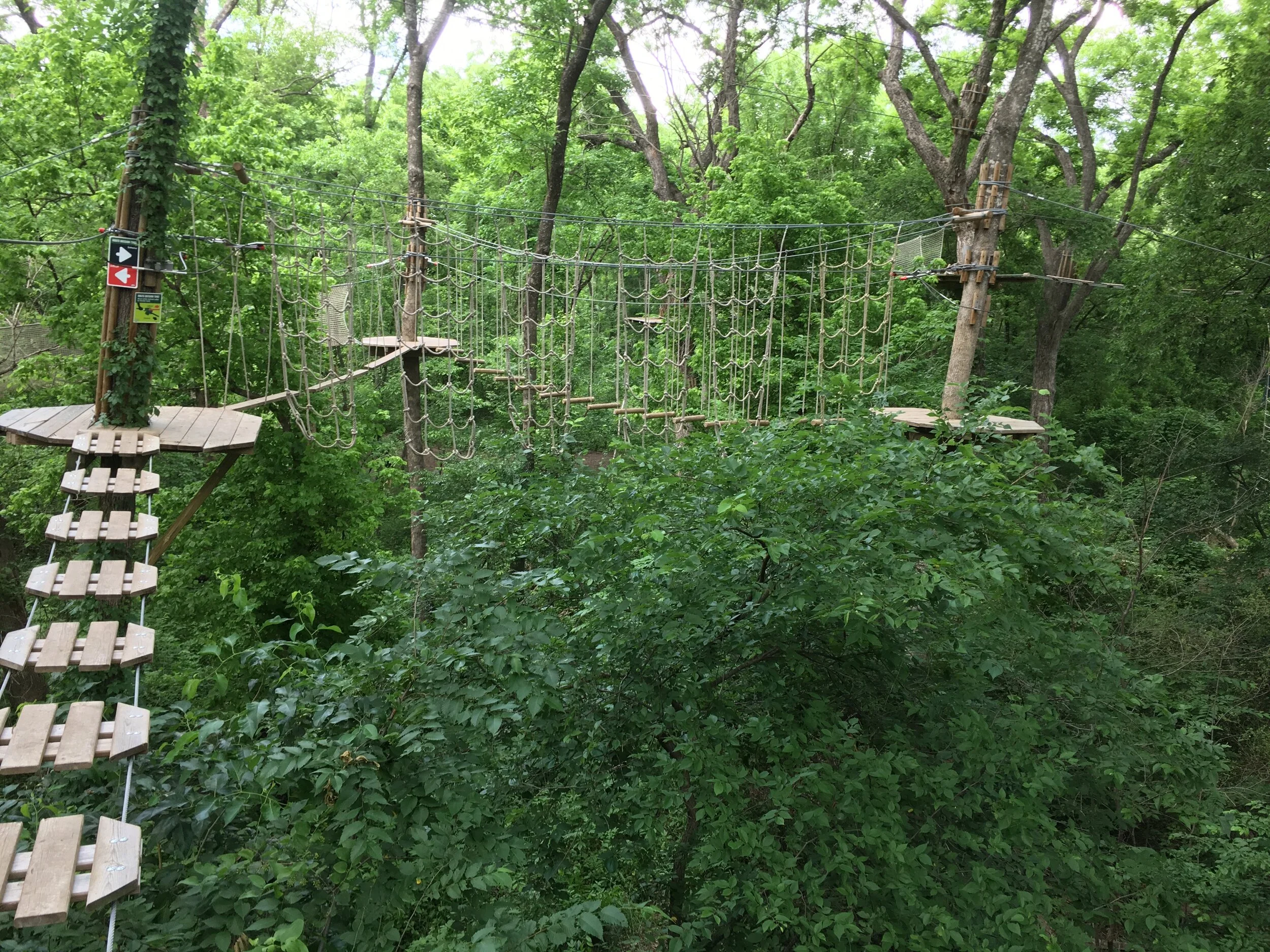 Plano, TX — Go Ape Media