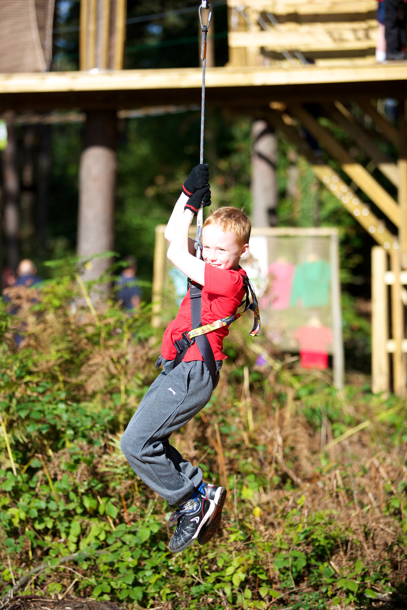 Go Ape Treetop Journey Images — Go Ape Media