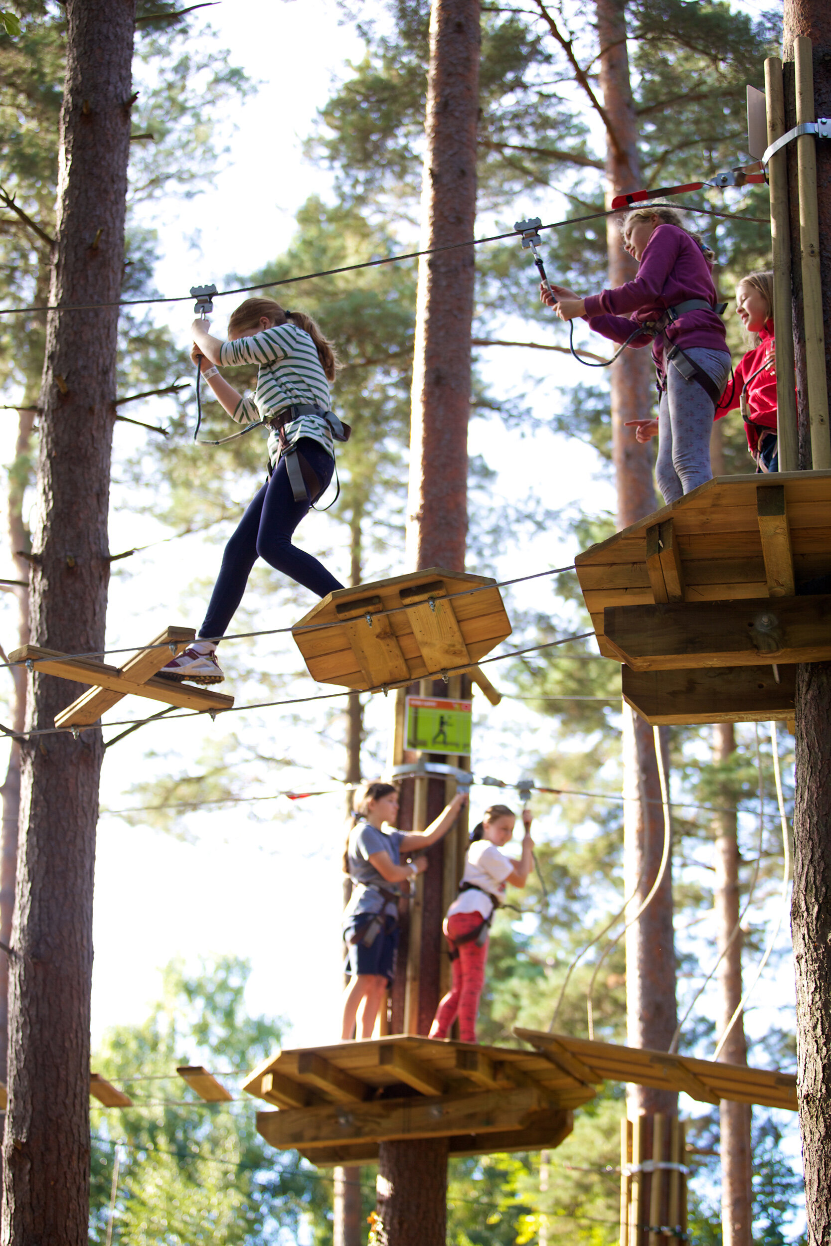 Go Ape Treetop Journey Images — Go Ape Media