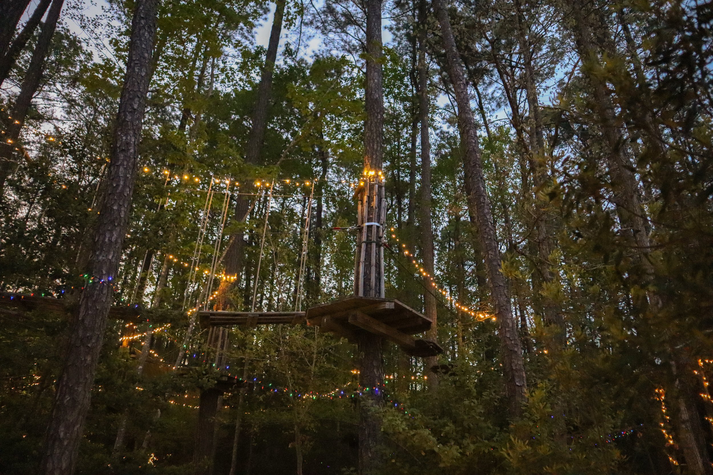 Williamsburg, VA — Go Ape Media