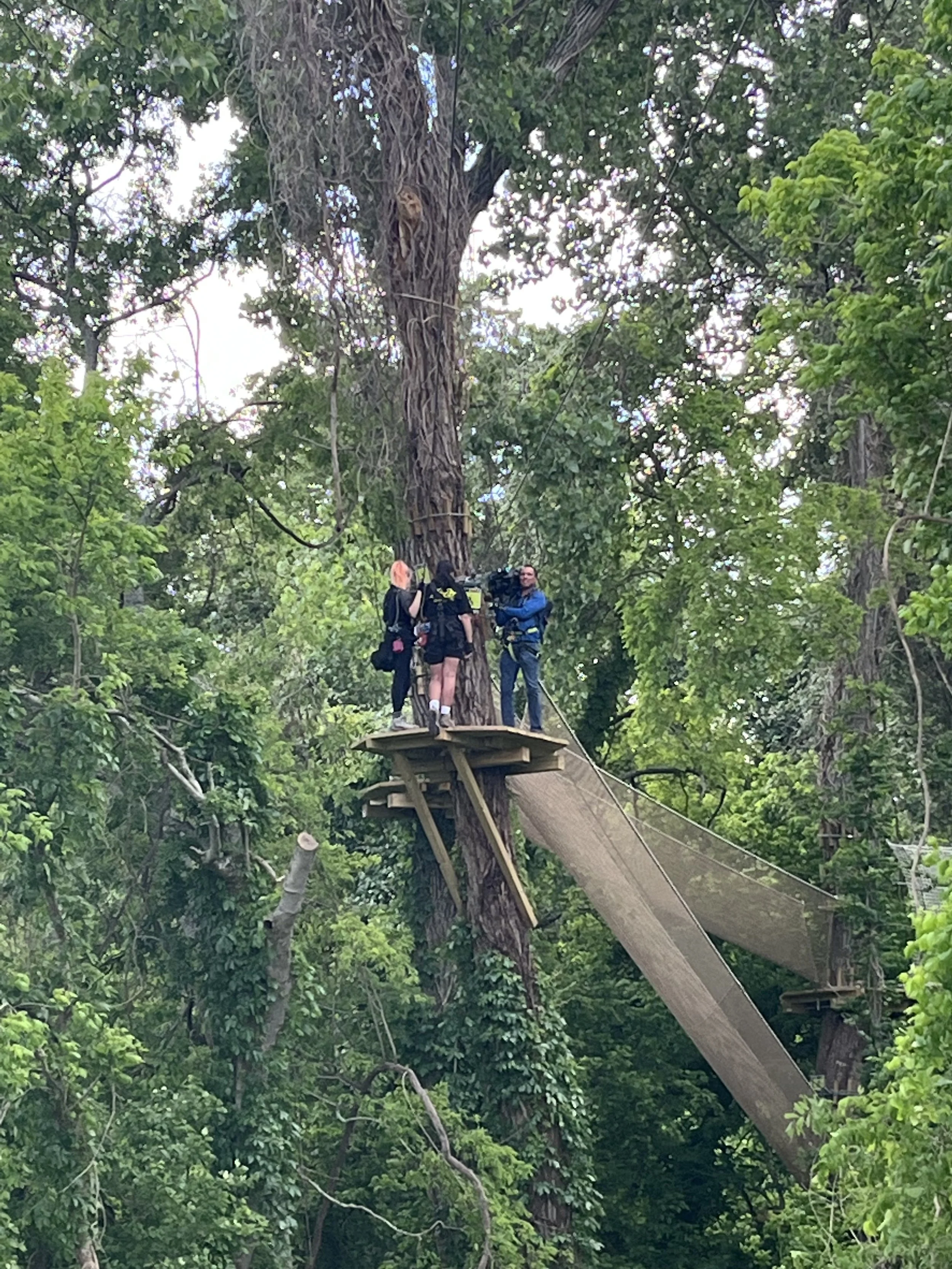Sugar Land-Houston, TX — Go Ape Media