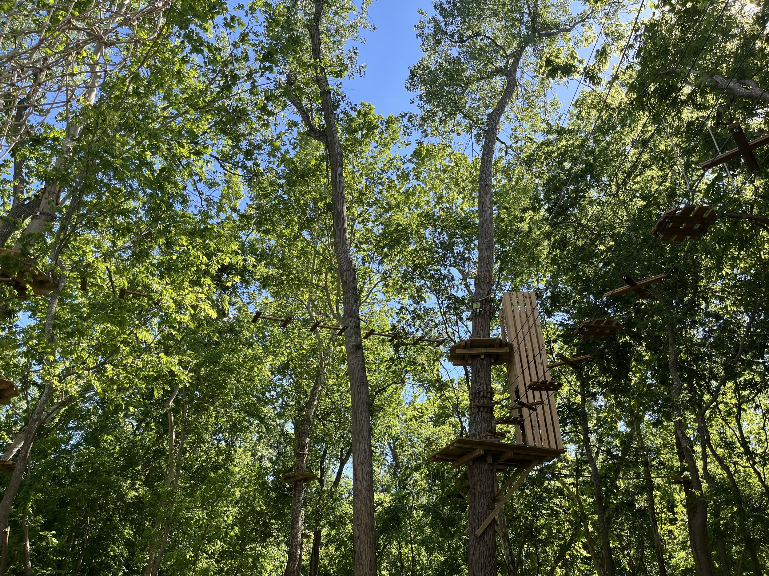 Sugar Land-Houston, TX — Go Ape Media