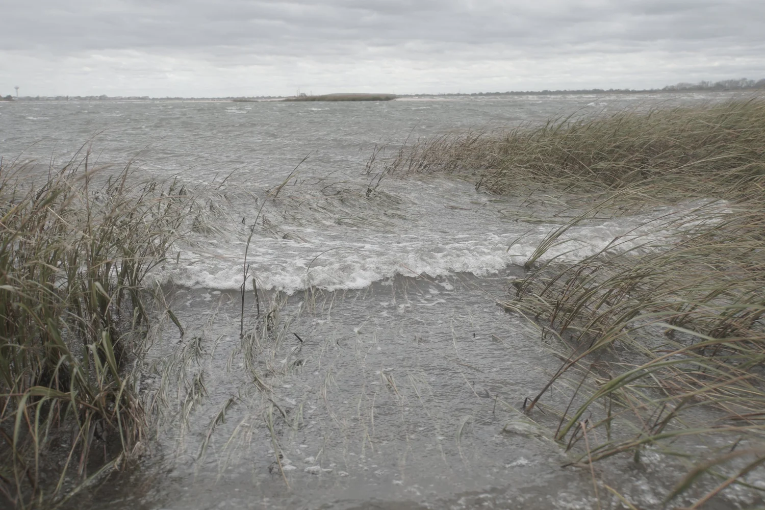 About — Jones Beach Energy & Nature Center