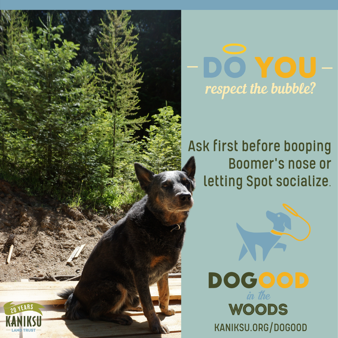 Local Dogs Featured in Trail Etiquette Campaign — Kaniksu Land Trust