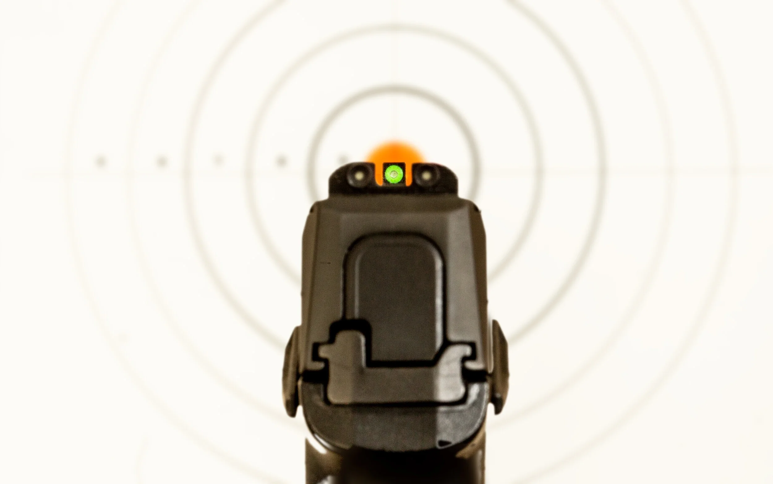 Services 4 — Sharpshooting Indoor Range and Gun Shop