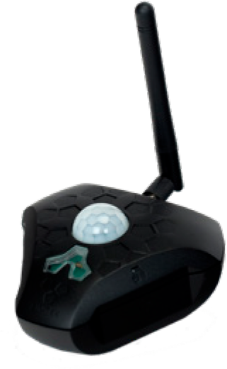 Gun Storage — Sharpshooting Indoor Range and Gun Shop