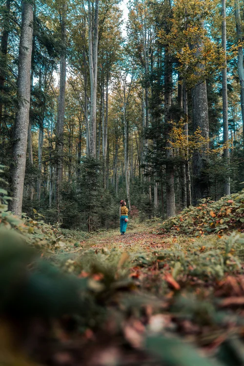 What is Ignatian Spirituality? — Office of Ignatian Spirituality