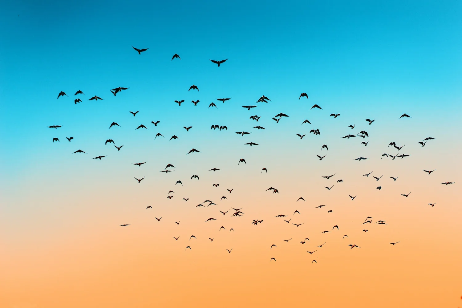 Spiritual Direction — Office of Ignatian Spirituality